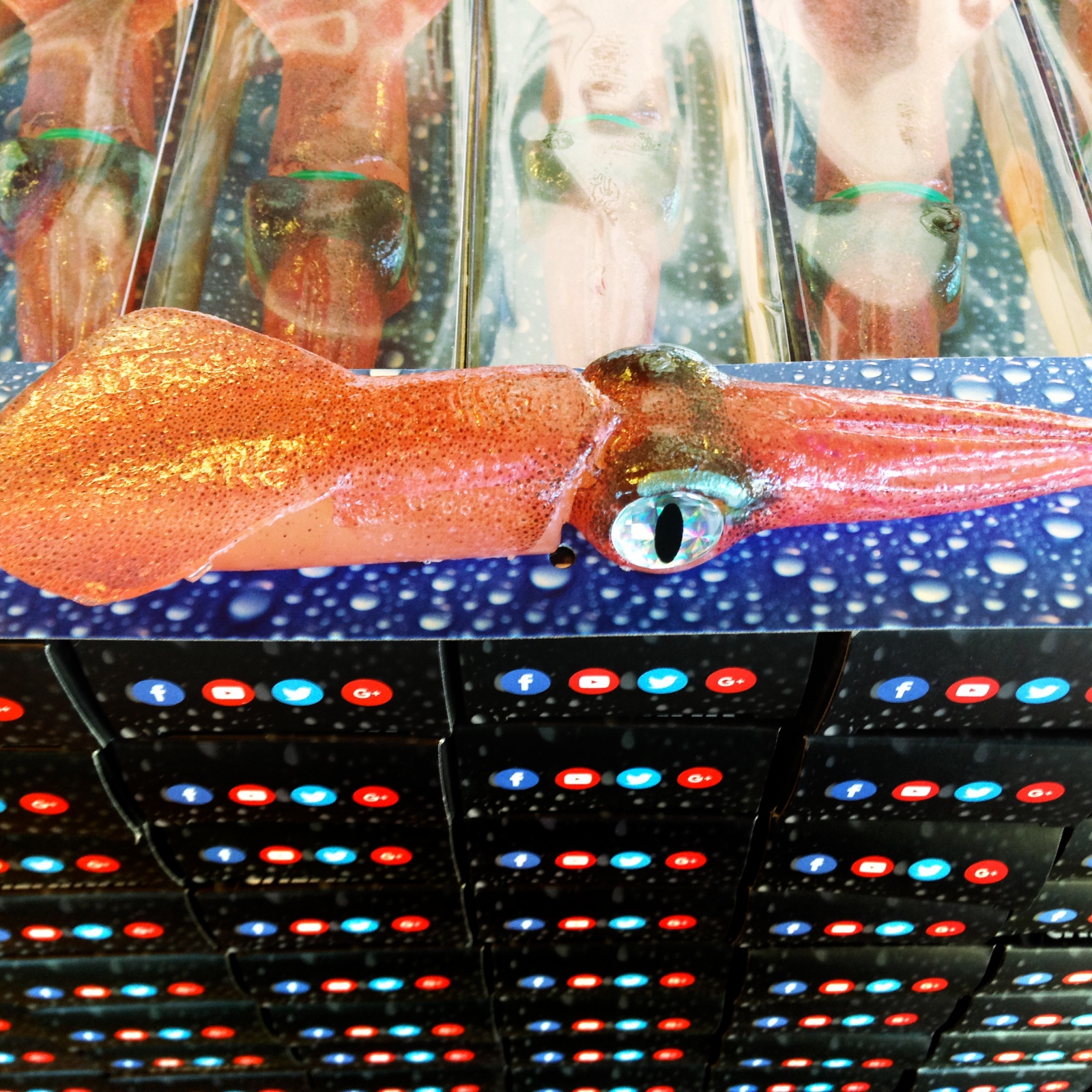 Le Vivo Calamar est une imitation saisissante de vérité