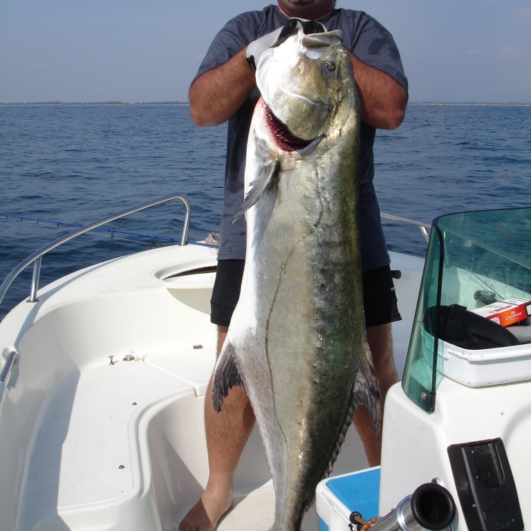 Identifier les poissons : pêche en mer