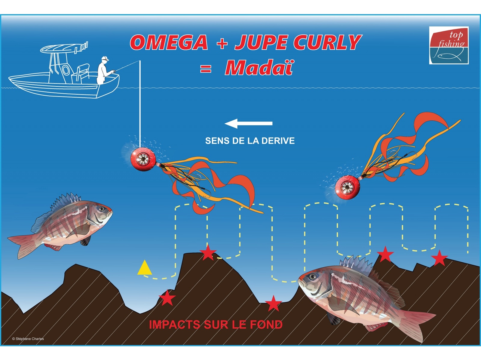 Omega Slider Paragon : la tête ultra modulable
