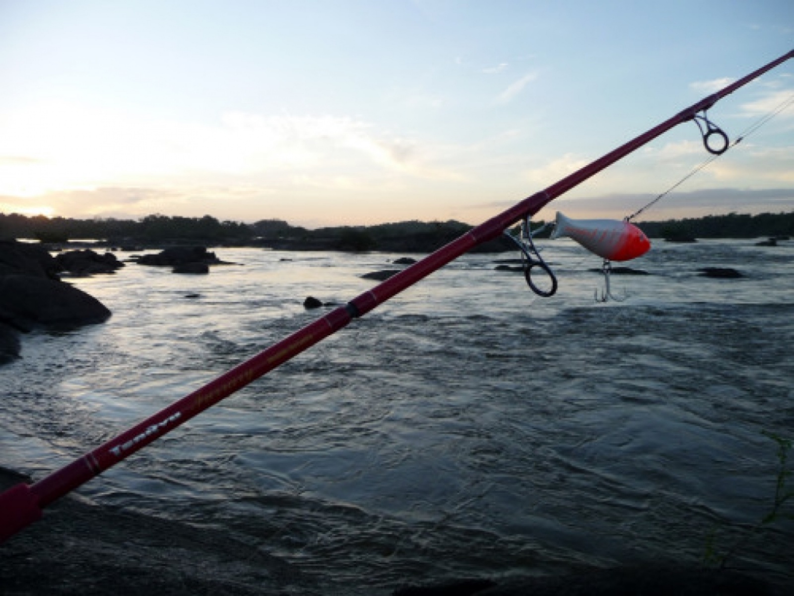 Sélection de leurres pour la pêche du thon à la traîne
