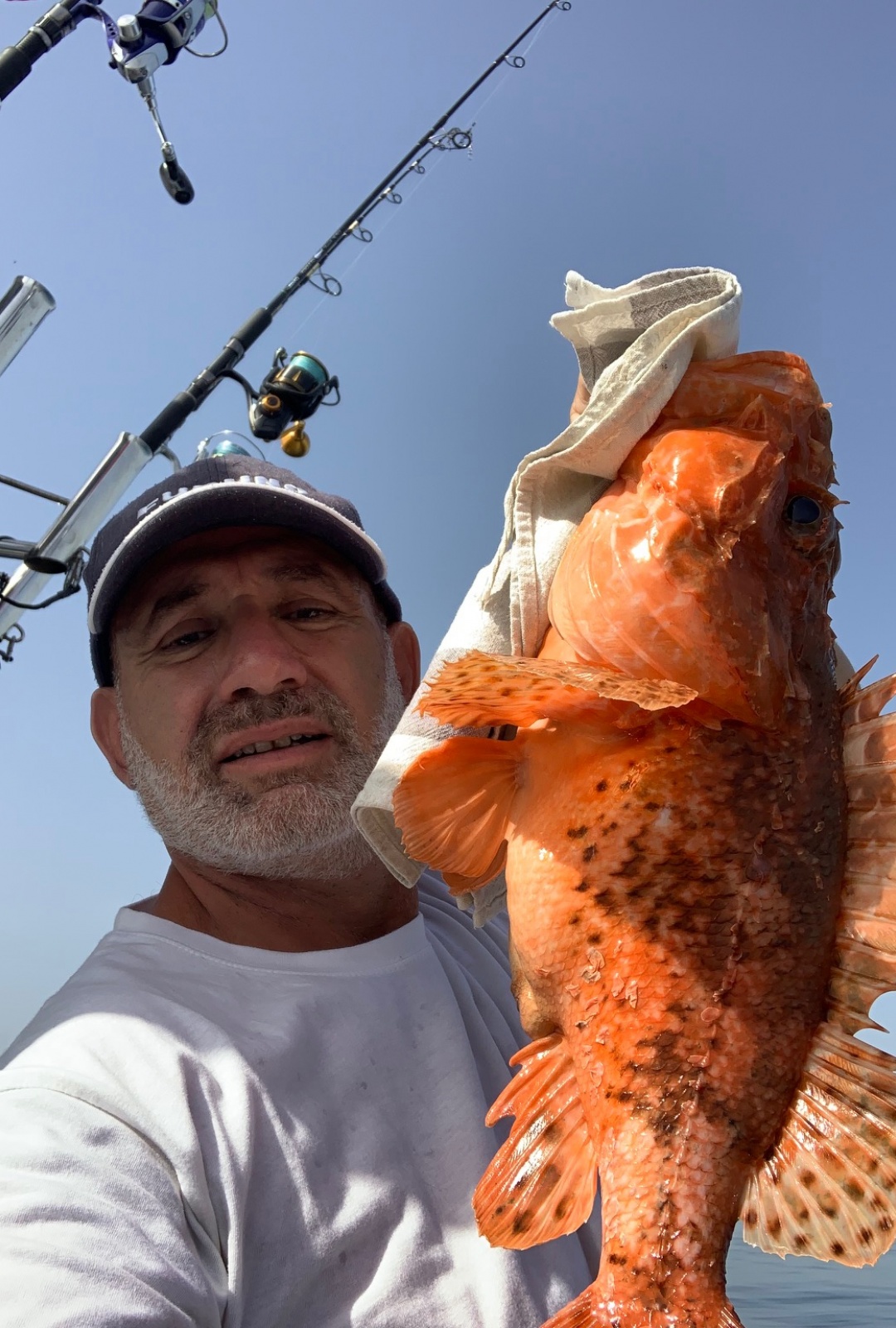 Omega Slider Paragon : la tête ultra modulable