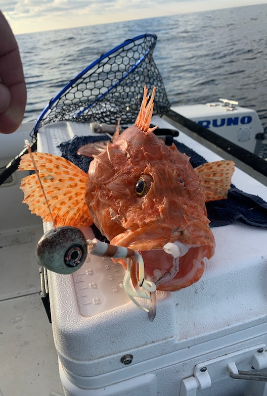 Omega Slider Paragon : la tête ultra modulable